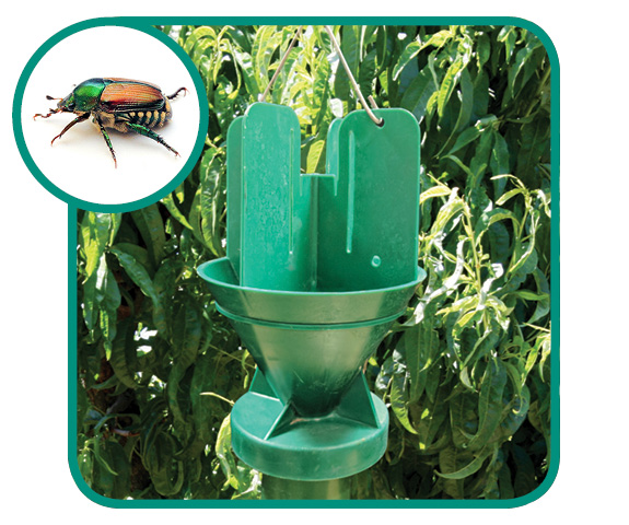 Pest Detection - Agricultural Commissioner - Stanislaus County